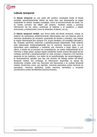 Los hemisferios cerebrales | DOCX