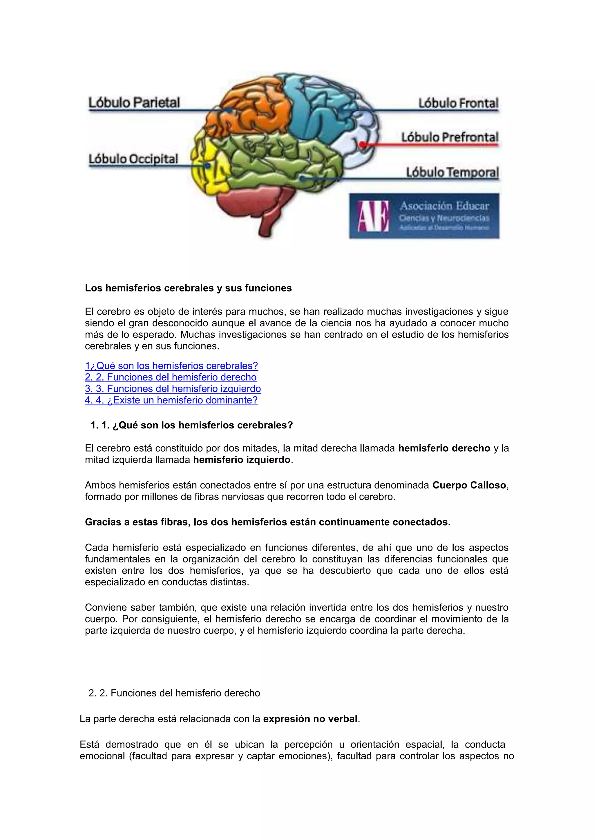 Funciones De Los Hemisferios Cerebrales Hemisferios Cerebrales Y Sus