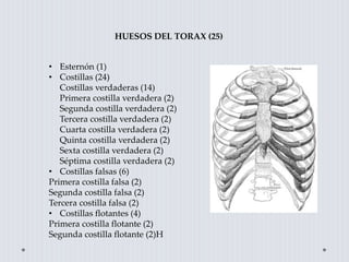 LOS HUESOS | PPTX