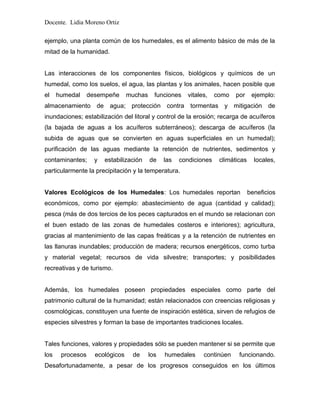 Los Humedales | DOC