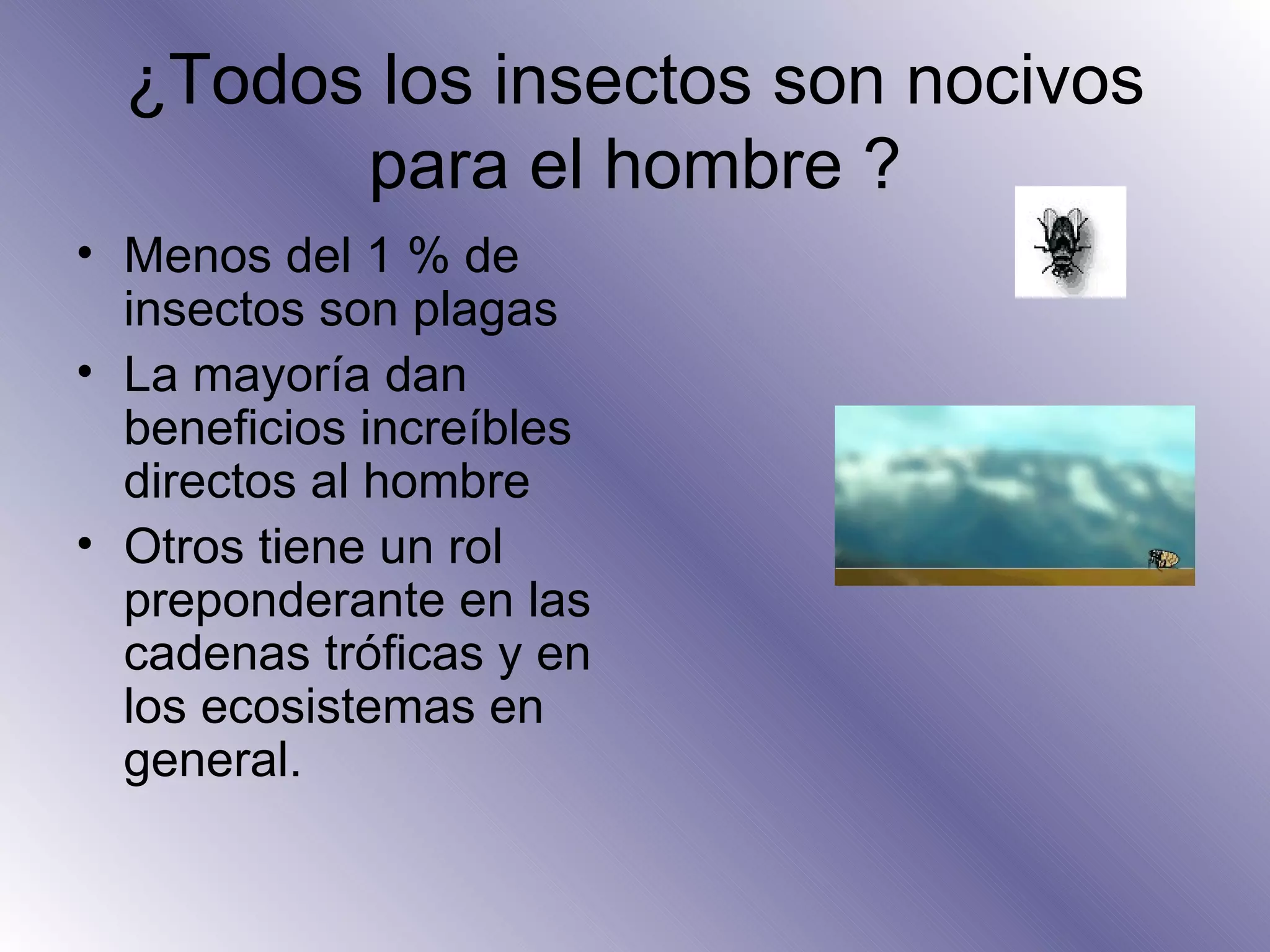 Los Insectos | PPT