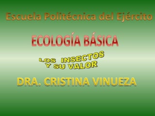 Los Insectos | PPT