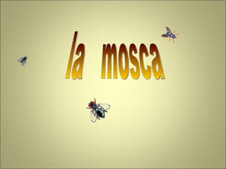Los insectos | PPT