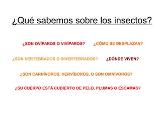 Los insectos | PDF