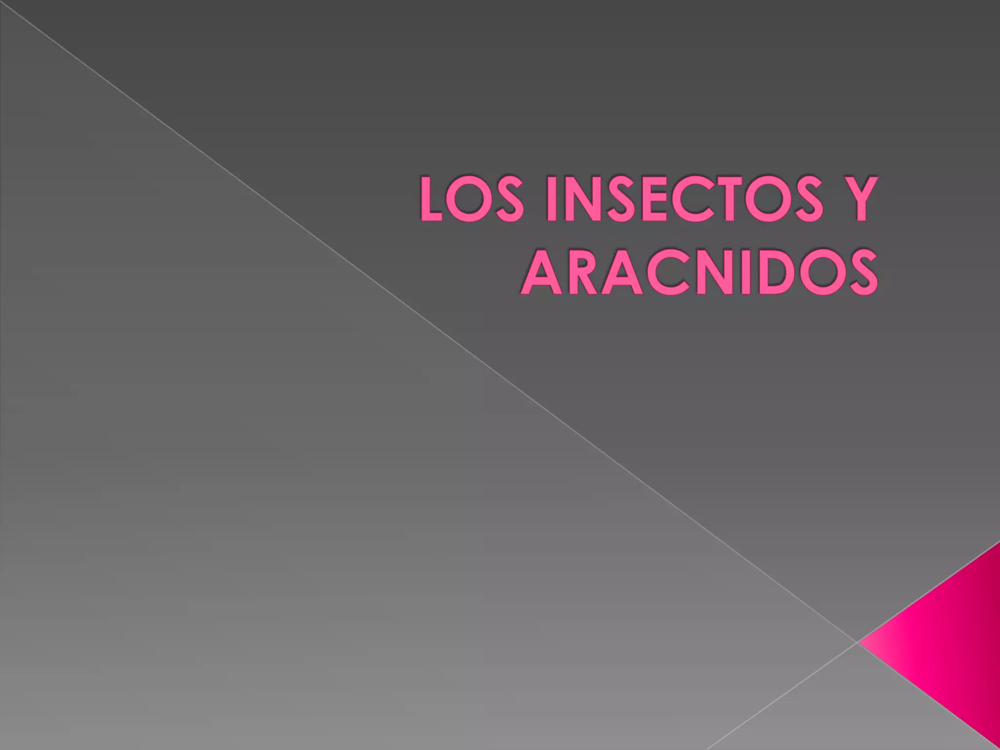 Los insectos y aracnidos | PPT