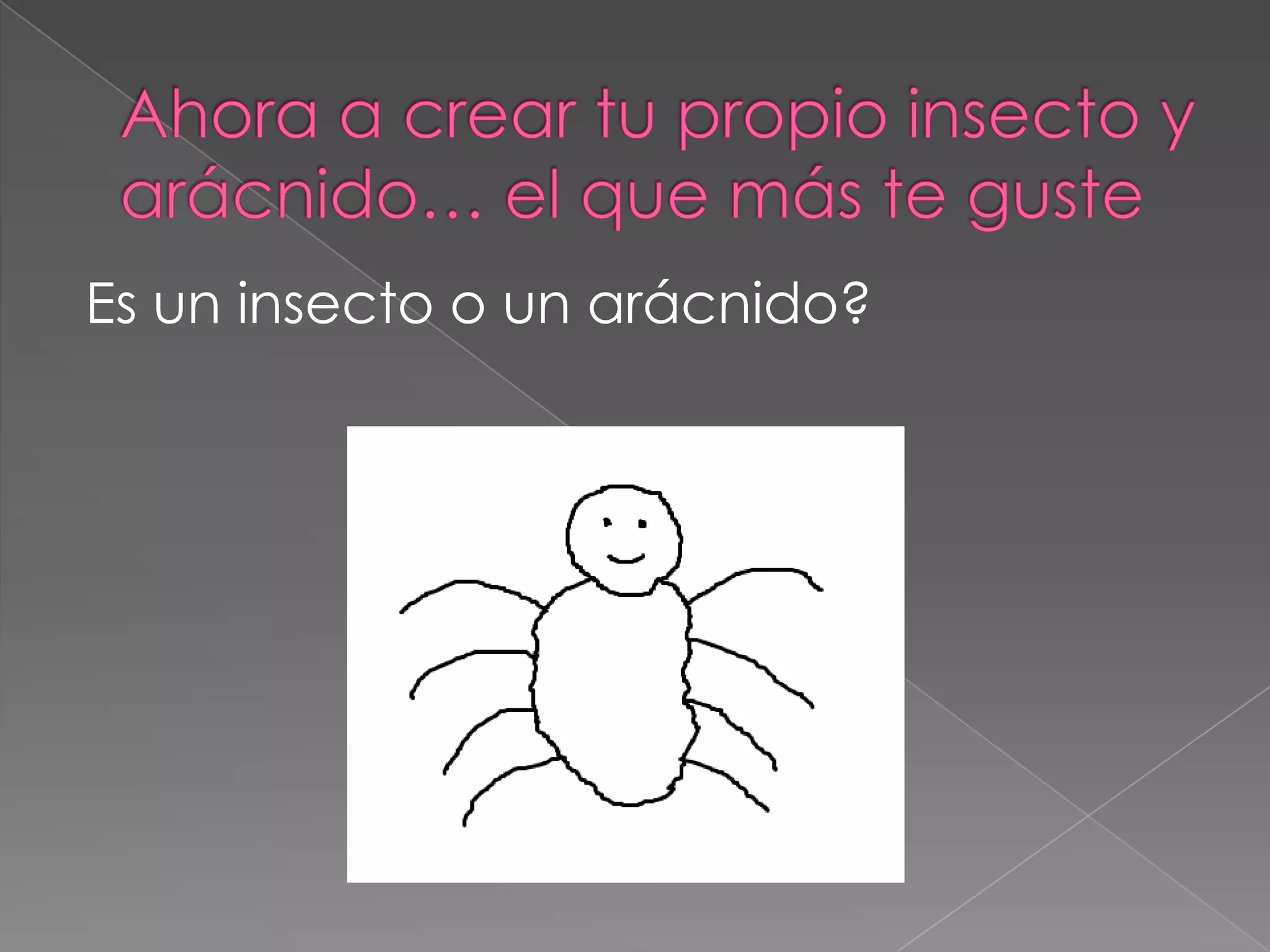 Los insectos y aracnidos | PPTX | Biological Sciences | Science