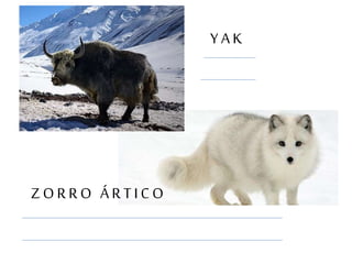 Los inuits | PPT