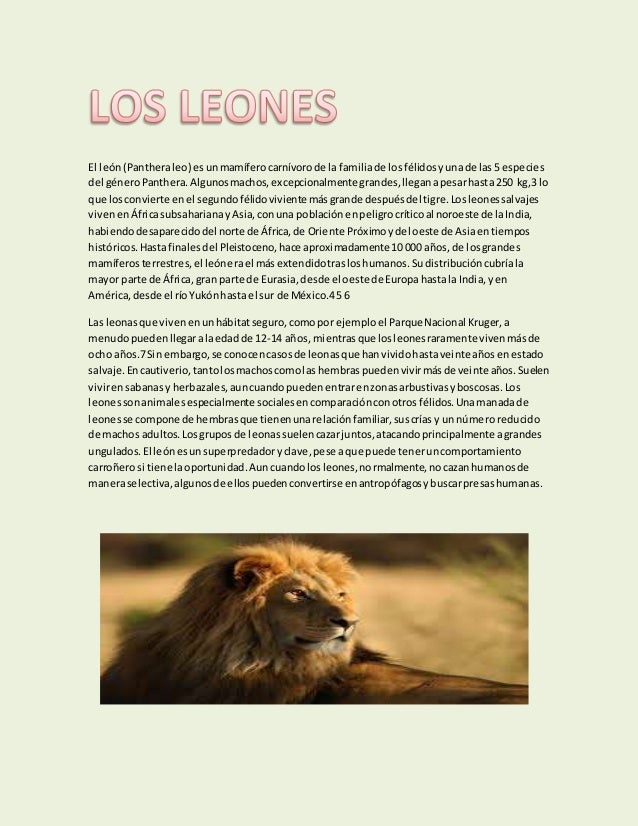 LOS LEONES