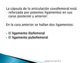 Los ligamentos de la cadera | PPTX