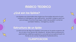 LOS LIPIDOS 2.0.pptx