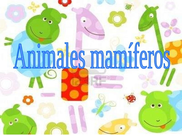 Los mamíferos | PPT
