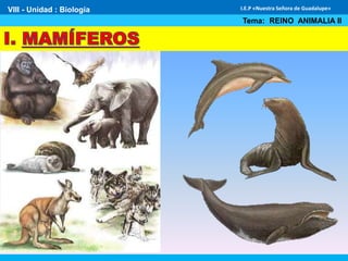 Los mamíferos | PPT