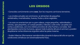 Los mamíferos | PPTX