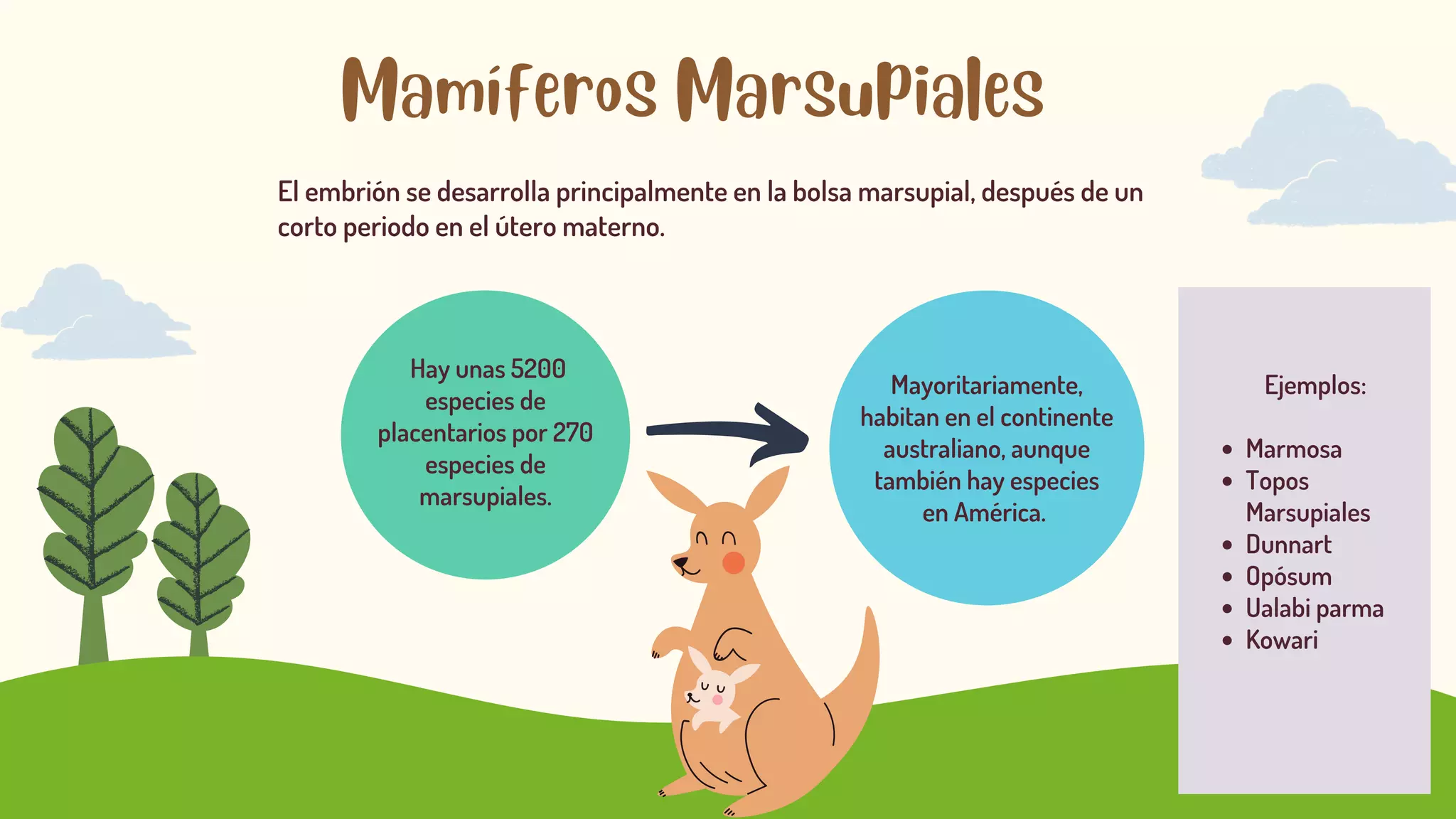 Los mamíferos.pdf