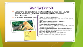 LOS MAMÍFEROS 1 grado para niños como tarea | PPTX