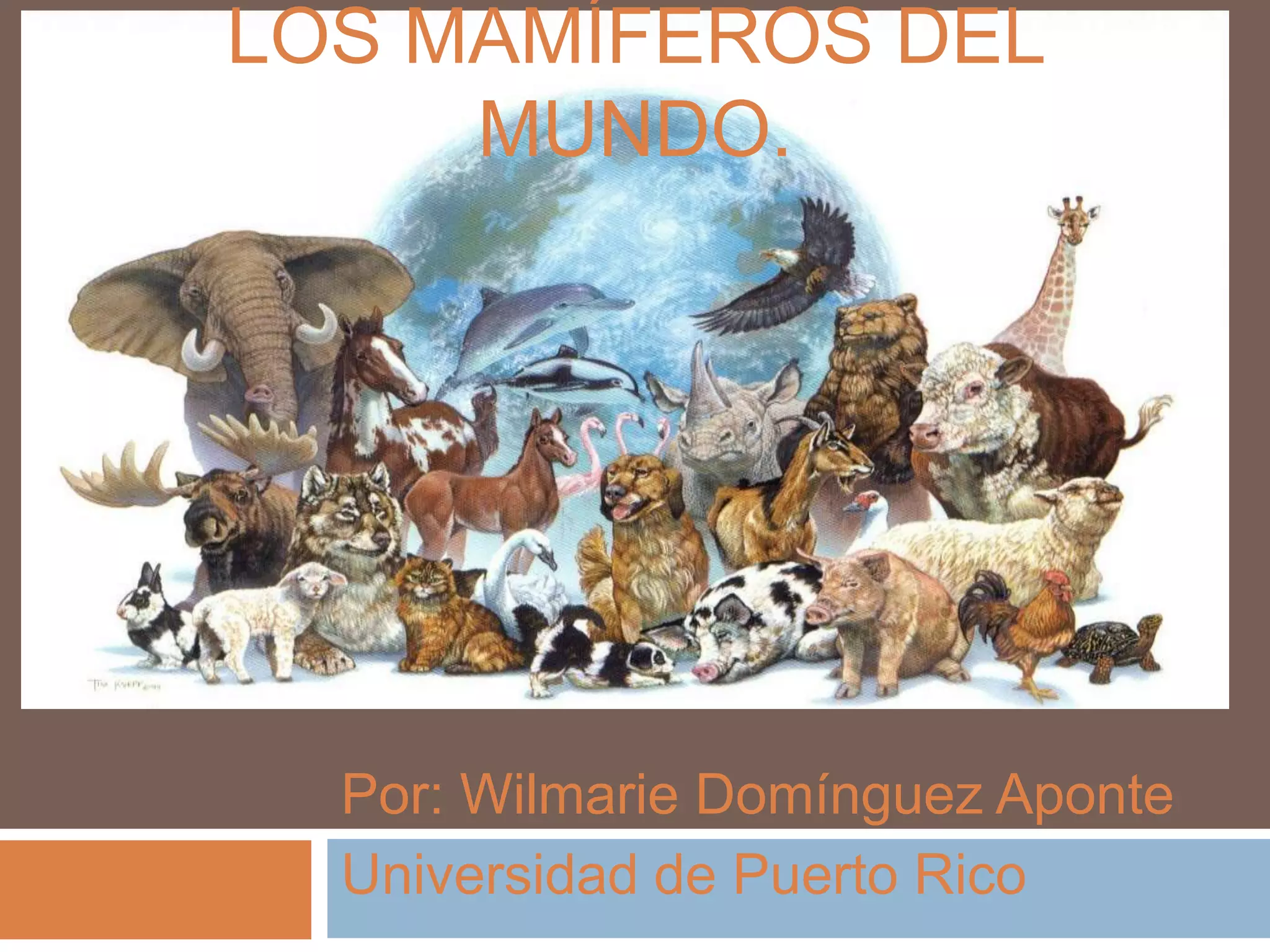 Los mamíferos del mundo | PPT