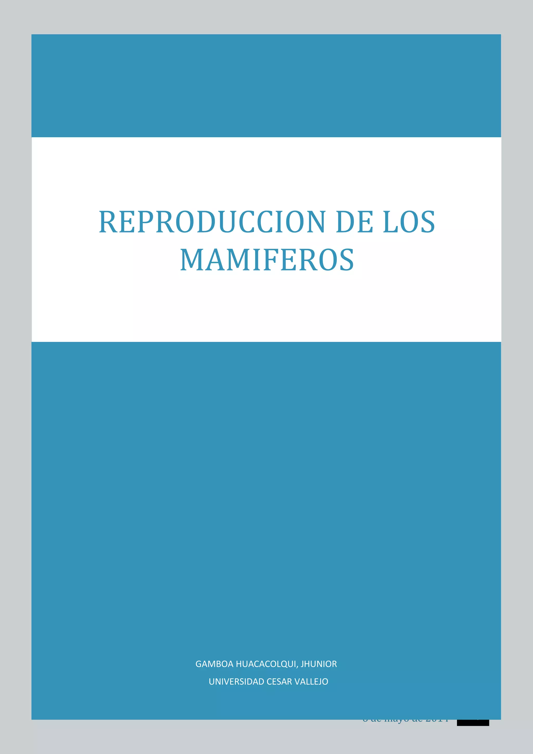 Los mamiferos | PDF
