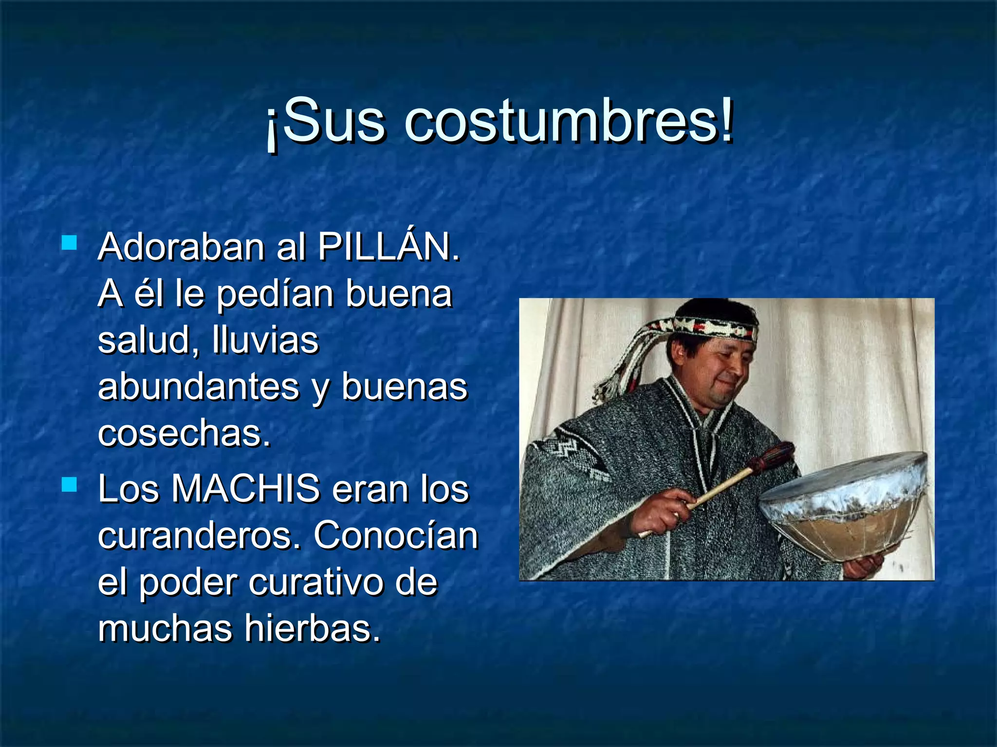 Los mapuches | PPT