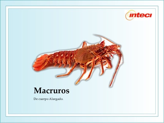 Los mariscos i crustáceos