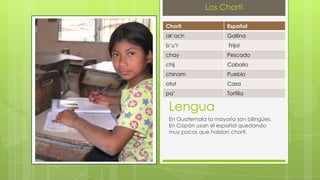Los maya chorti | PPTX