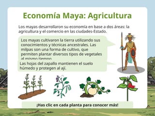 clase de los mayas: economía, religión y costumbres | PPTX