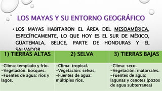 LOS MAYAS Y SU DESAROLLO HISTORICO.pptx