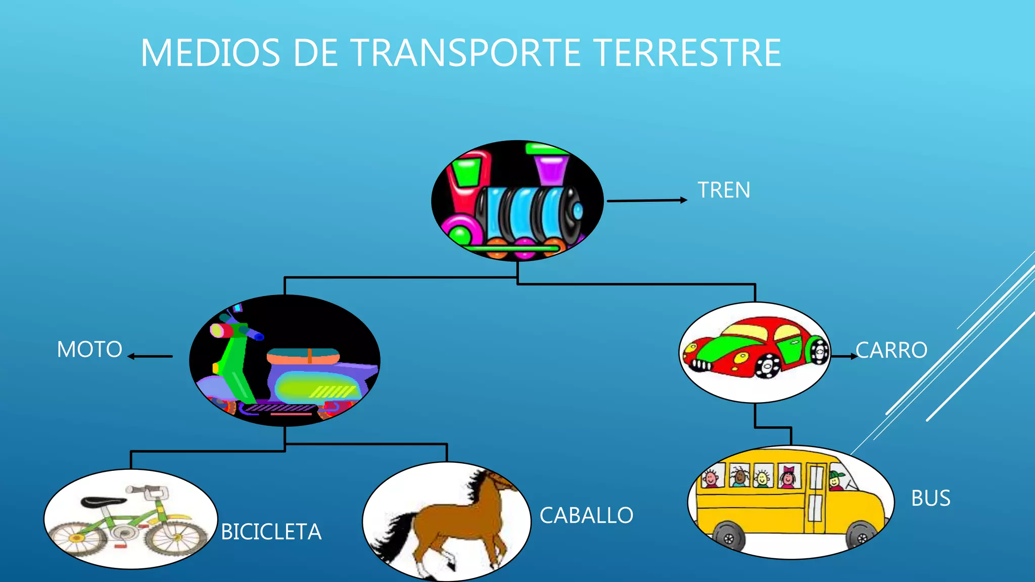 Los medios de transporte | PPTX