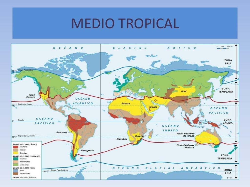 Tema 5: Los medios naturales de la tierra