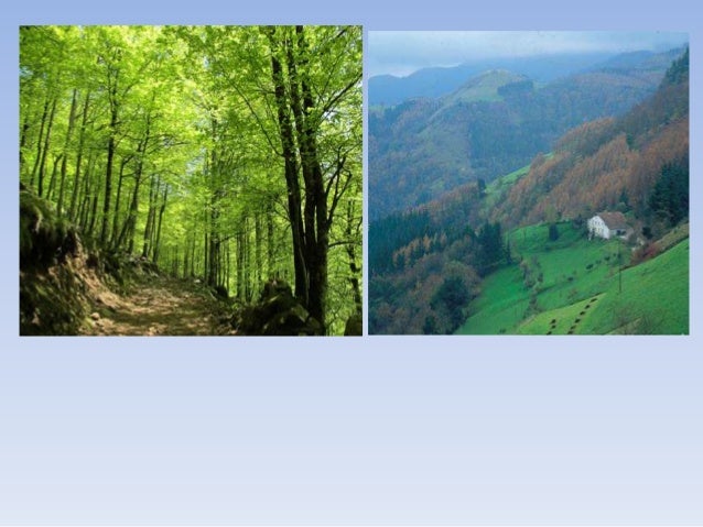 Tema 5: Los medios naturales de la tierra