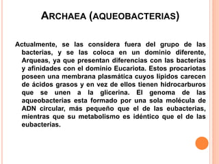 Los microorganismos | PPTX
