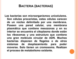 Los microorganismos | PPTX