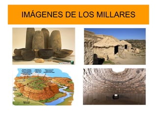 Los millares | ODP