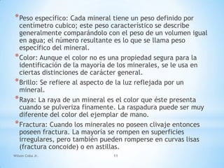 Los minerales | PPTX