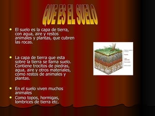 Las rocas, los minerales y el suelo | PPT