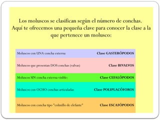 LOS MOLUSCOS, SU CLASIFICACION Y DIFERENCIAS | PPTX