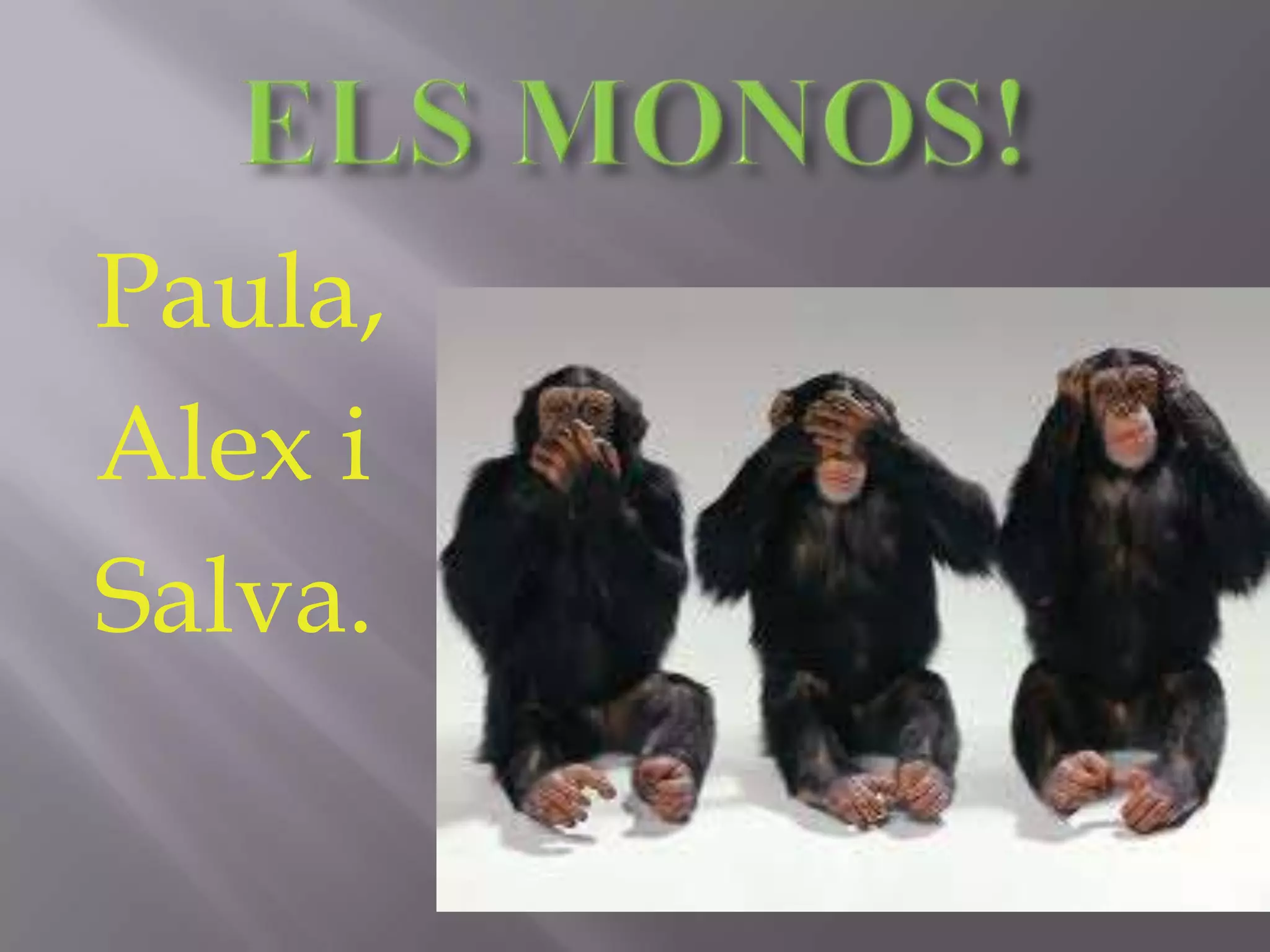Los monos (paula m., alex loor, salva duato) | PPTX