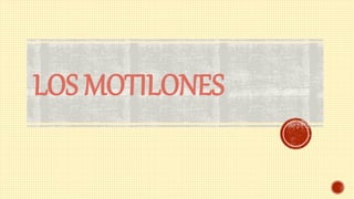 Los motilones cultura Colombiana | PPTX