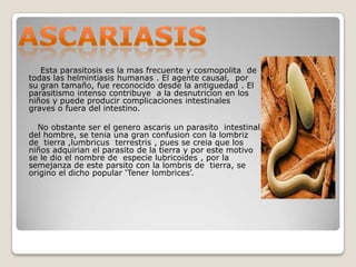 Gusanos Nematodos En Humanos