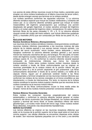 INFORME - 12 PARES CRANEALES - COMPONENTES AFERENTES Y EFERENTES | DOC