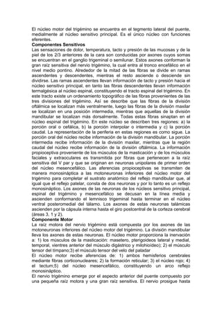 INFORME - 12 PARES CRANEALES - COMPONENTES AFERENTES Y EFERENTES | DOC