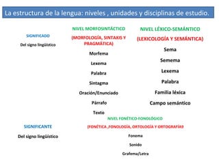 Los niveles de la lengua | PPT