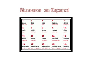 Los Numeros | PPT