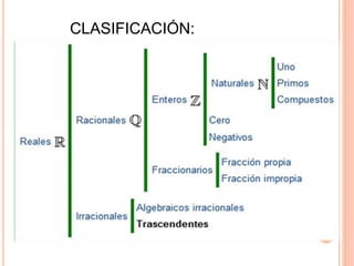 Los numeros reales. | PDF