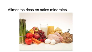 Los nutrientes | PDF