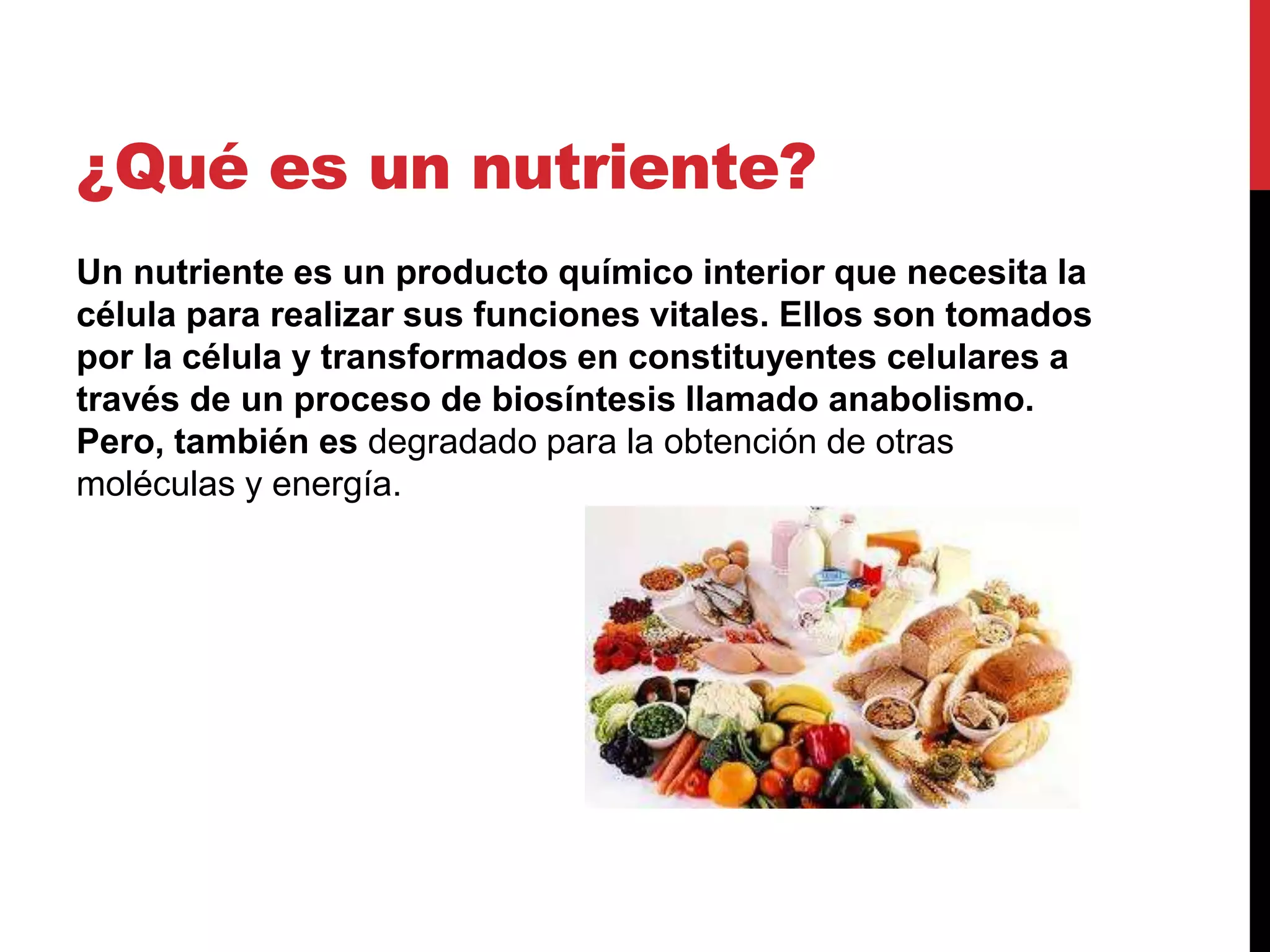 Los nutrientes | PPT
