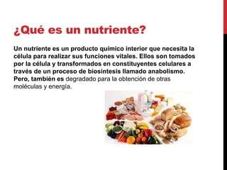 Los nutrientes | PPTX