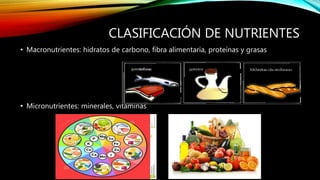 Los nutrientes presentación | PPTX