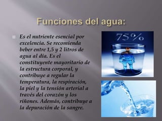 Los nutrientes y sus funciones en el organismo | PPTX