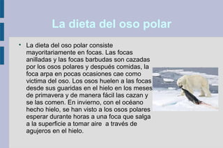 Los osos polares | PPT