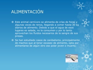 Los osos polares | PPTX